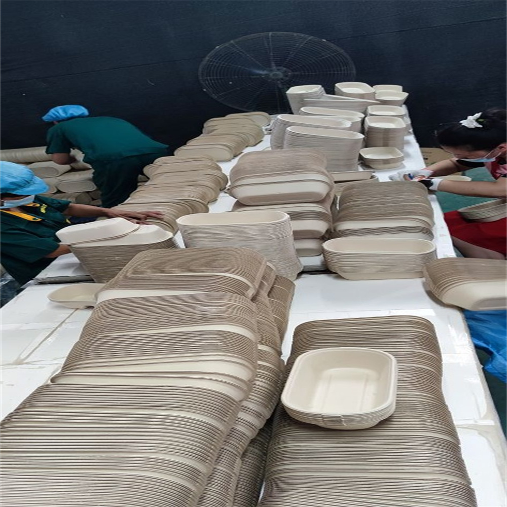 Takeaway packed multi-grid paper lunch plates